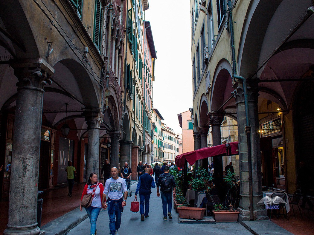 Slike Pize - KASADOO