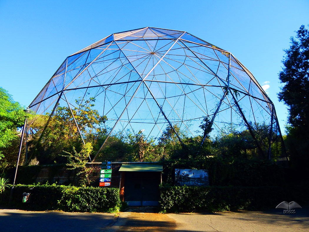 Photos of Rome’s Zoo Bioparco - KASADOO