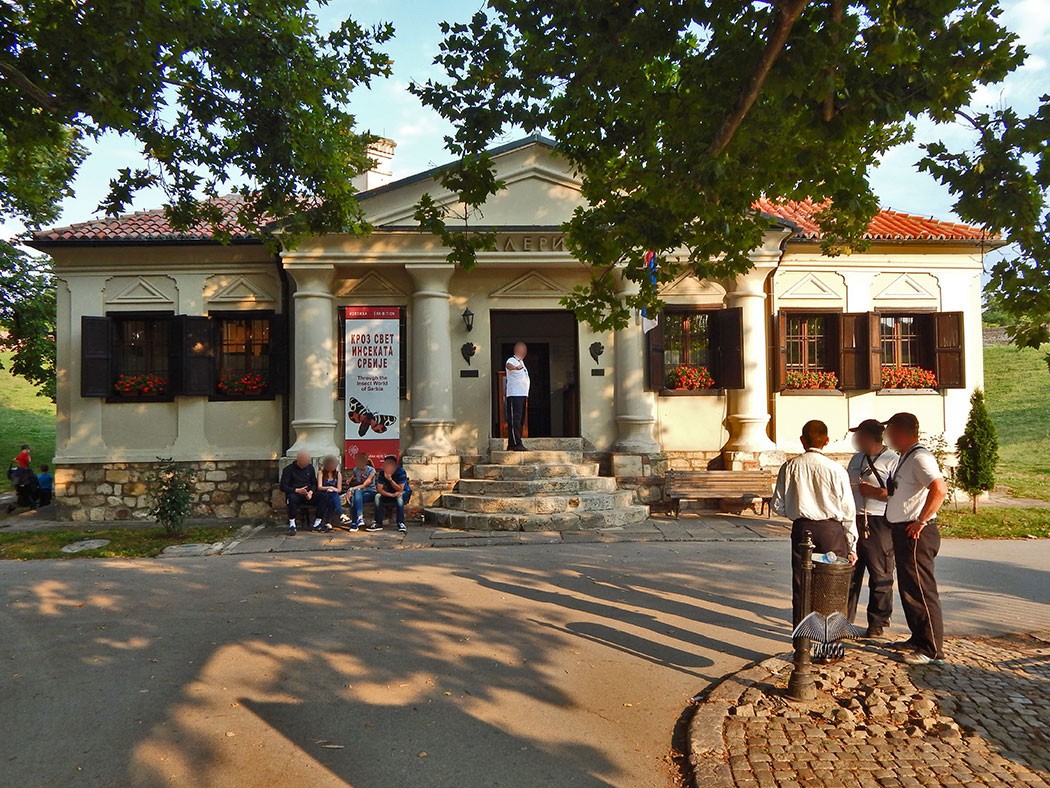 Slike Prirodnjačkog muzeja u Beogradu - KASADOO