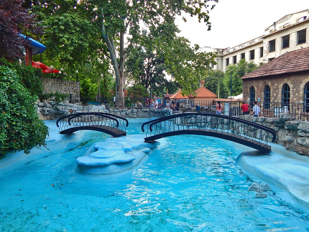 Slike Zoološkog vrta u Beogradu - KASADOO